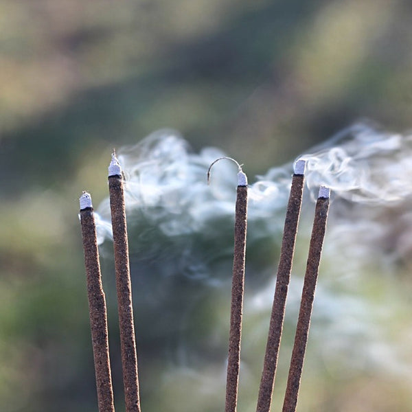 Inciensos (20 piezas) – PAULICEA